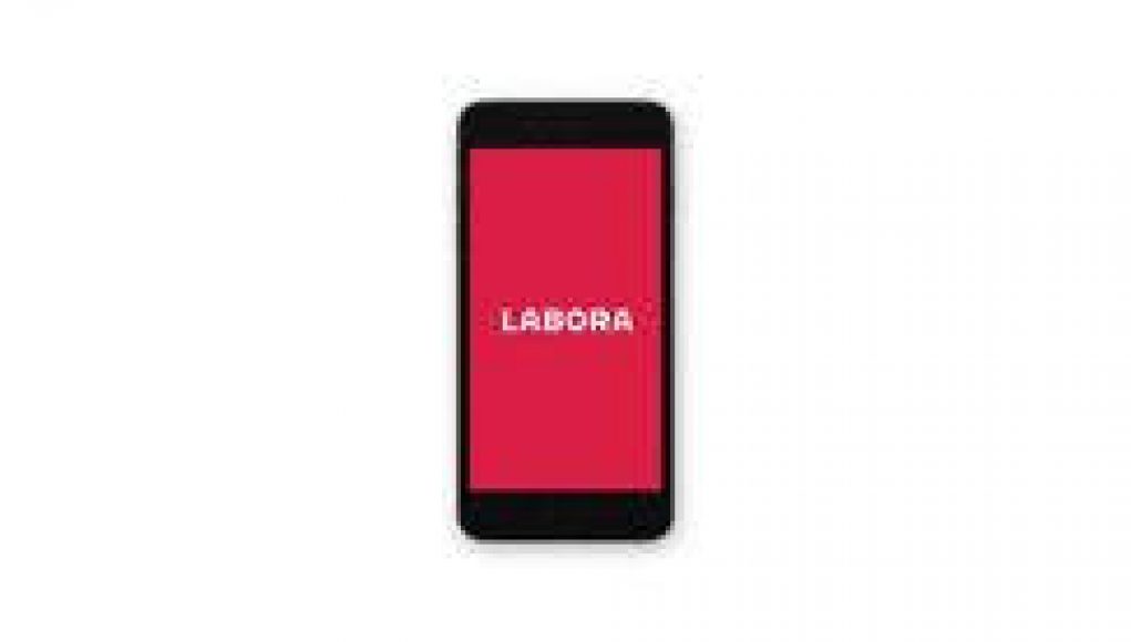 La APP GVA Labora acerca los servicios de empleo a la ciudadanía ...